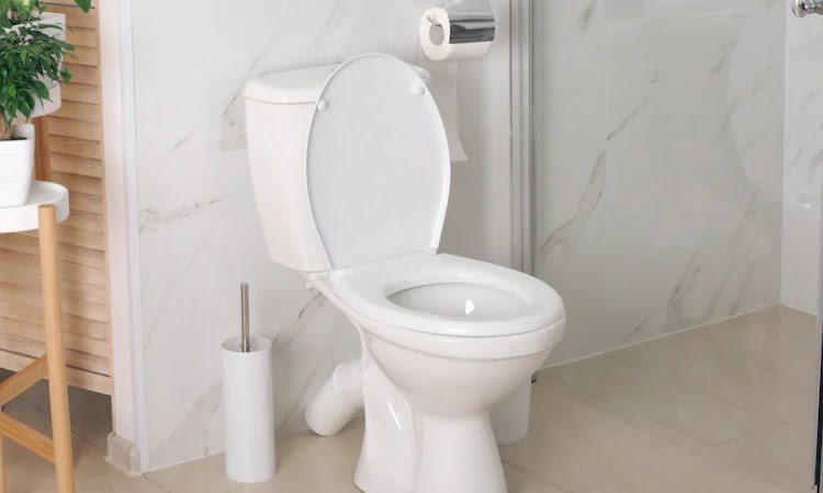 3 Jenis Closet Duduk yang Bisa Anda Pertimbangkan Penggunaannya ...